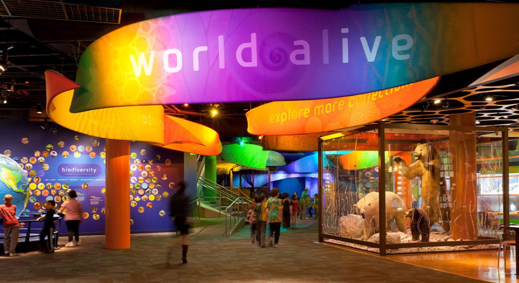 Discovery Place World Alive Exhibit Design | CambridgeSeven