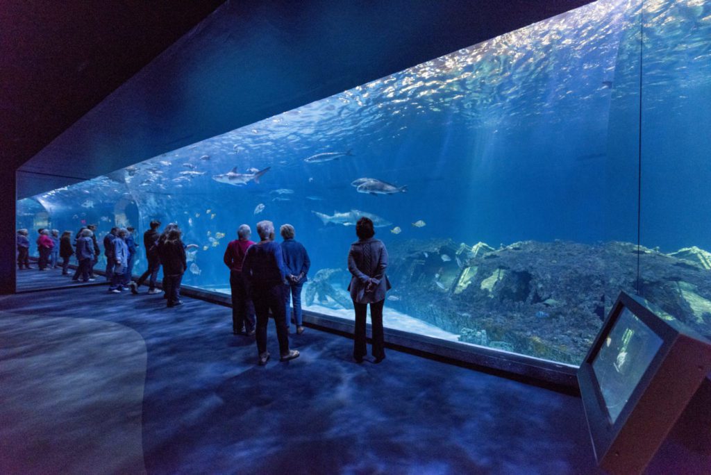 Ten Ways to Design Architecture for Wildlife | CambridgeSeven