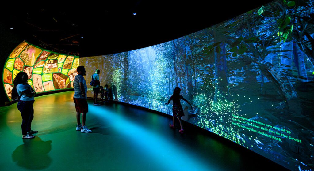 Audubon Aquarium and Insectarium | CambridgeSeven