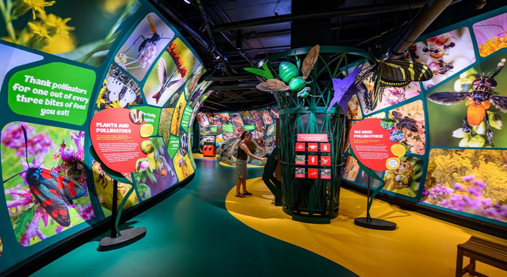 Audubon Aquarium and Insectarium | CambridgeSeven