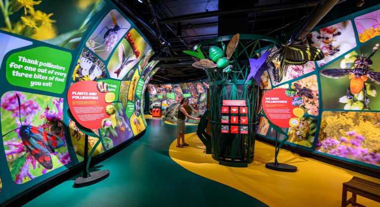 Audubon Aquarium and Insectarium | CambridgeSeven