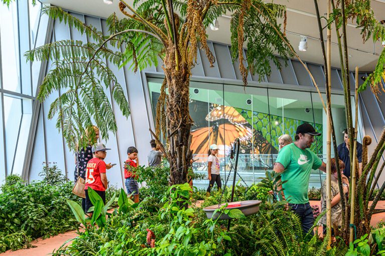 Audubon Aquarium and Insectarium | CambridgeSeven