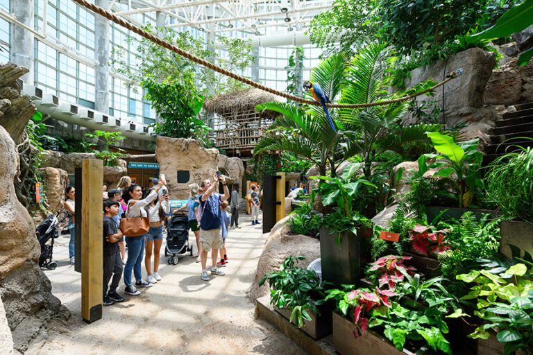 Audubon Aquarium and Insectarium | CambridgeSeven