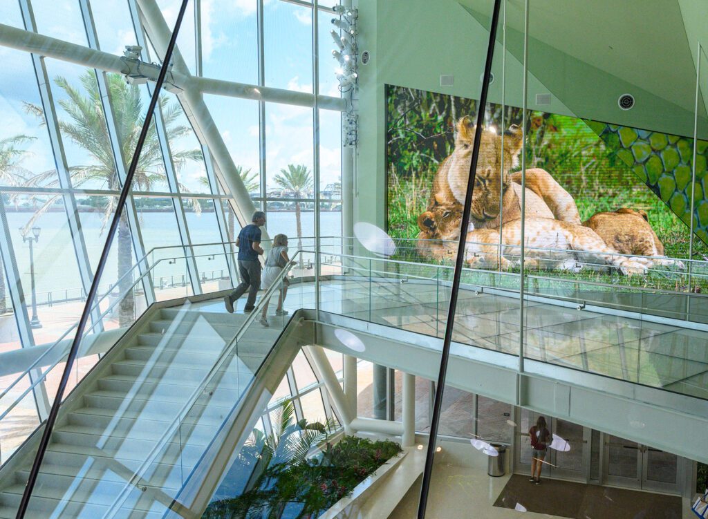 Audubon Aquarium and Insectarium | CambridgeSeven