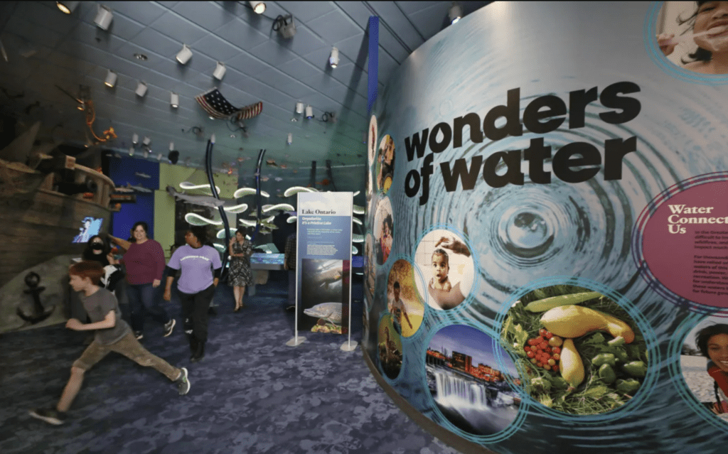 New Water Exhibit Opens at RMSC | CambridgeSeven