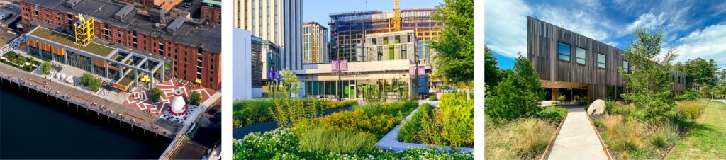 Urban Ecology | CambridgeSeven